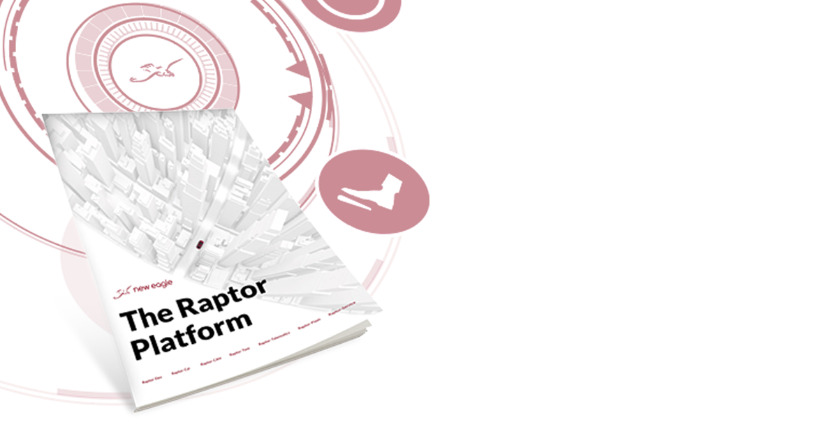 Developing Control Systems Faster With Raptor